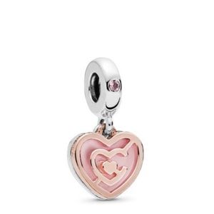 Pandora | Jewelry | Pandora Enamel Pandora Rose With Sterling Silver ...